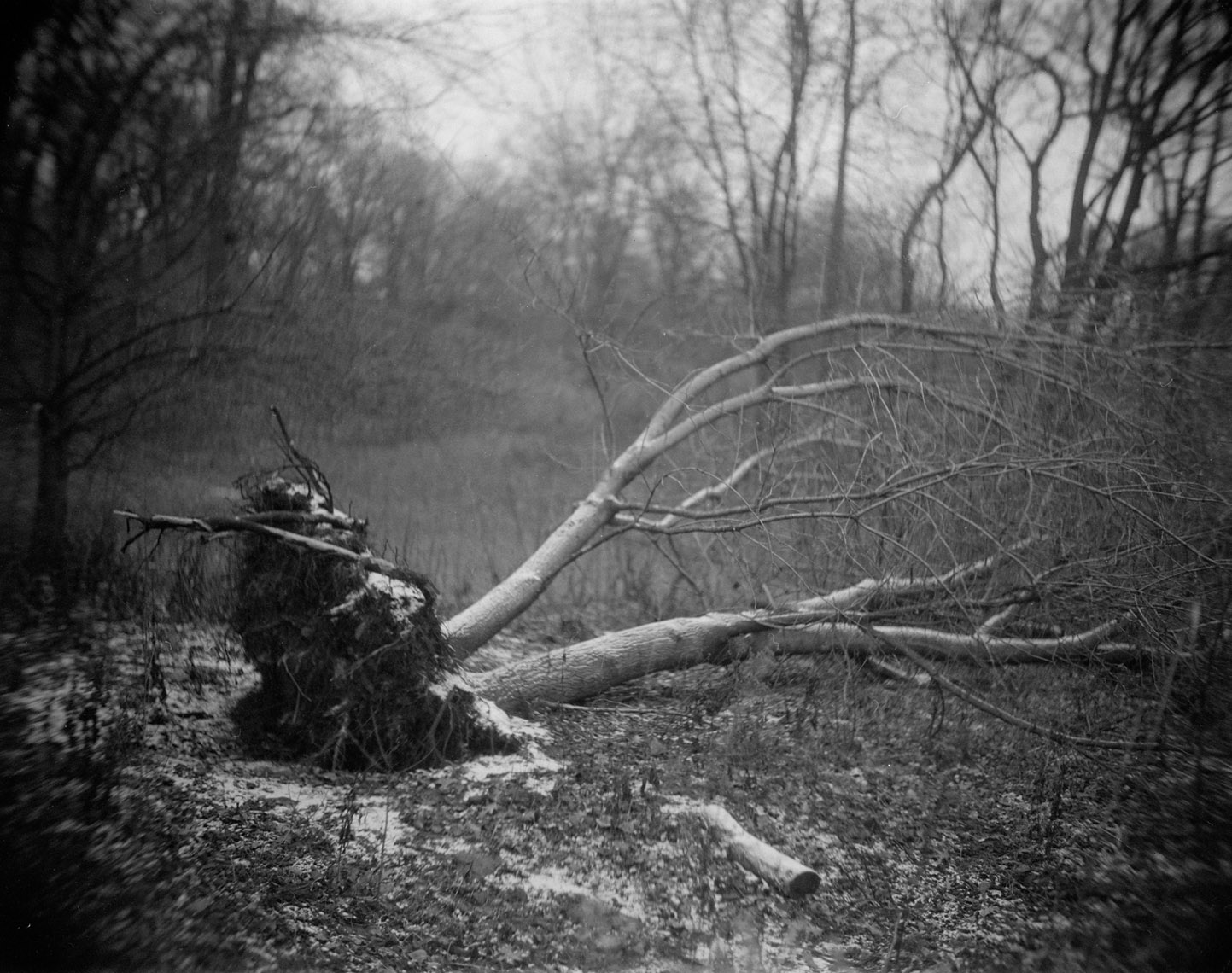 David Bowman Photography Minneapolis